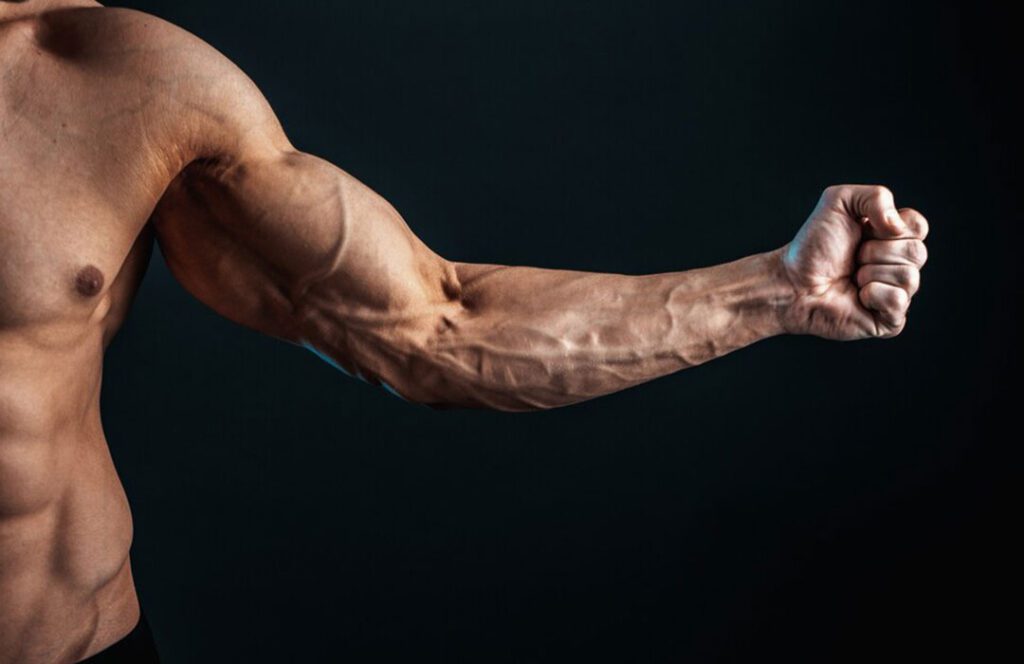 Exploring the Key Differences: Biceps vs. Triceps - Which Packs a Punch? Exploring the Key Differences: Biceps vs. Triceps - Which Packs a Punch?